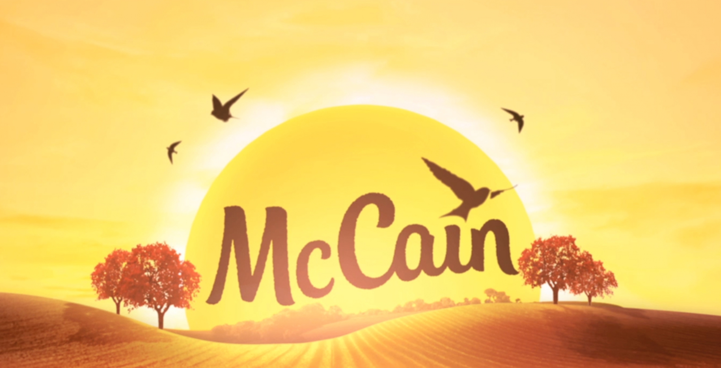 McCain | DCM