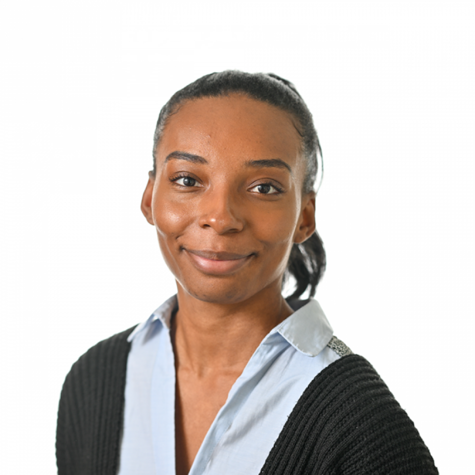 Meet the Team | DCM